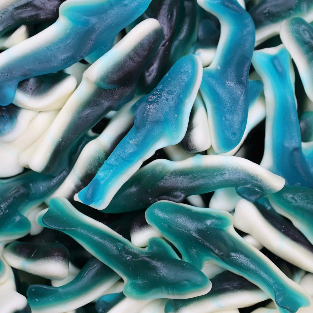 Blue Sharks – ScandyCandy